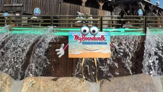 Santa Cruz Creative Agency - Tam Communications